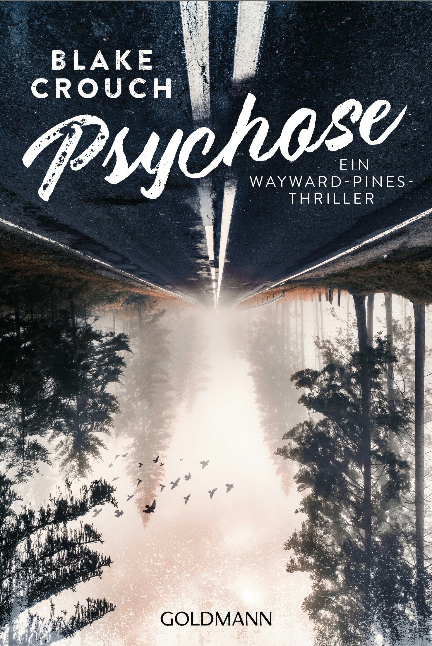 Blake Crouch - Psychose (Wayward Pines 1) – magischemomentefuermich.de