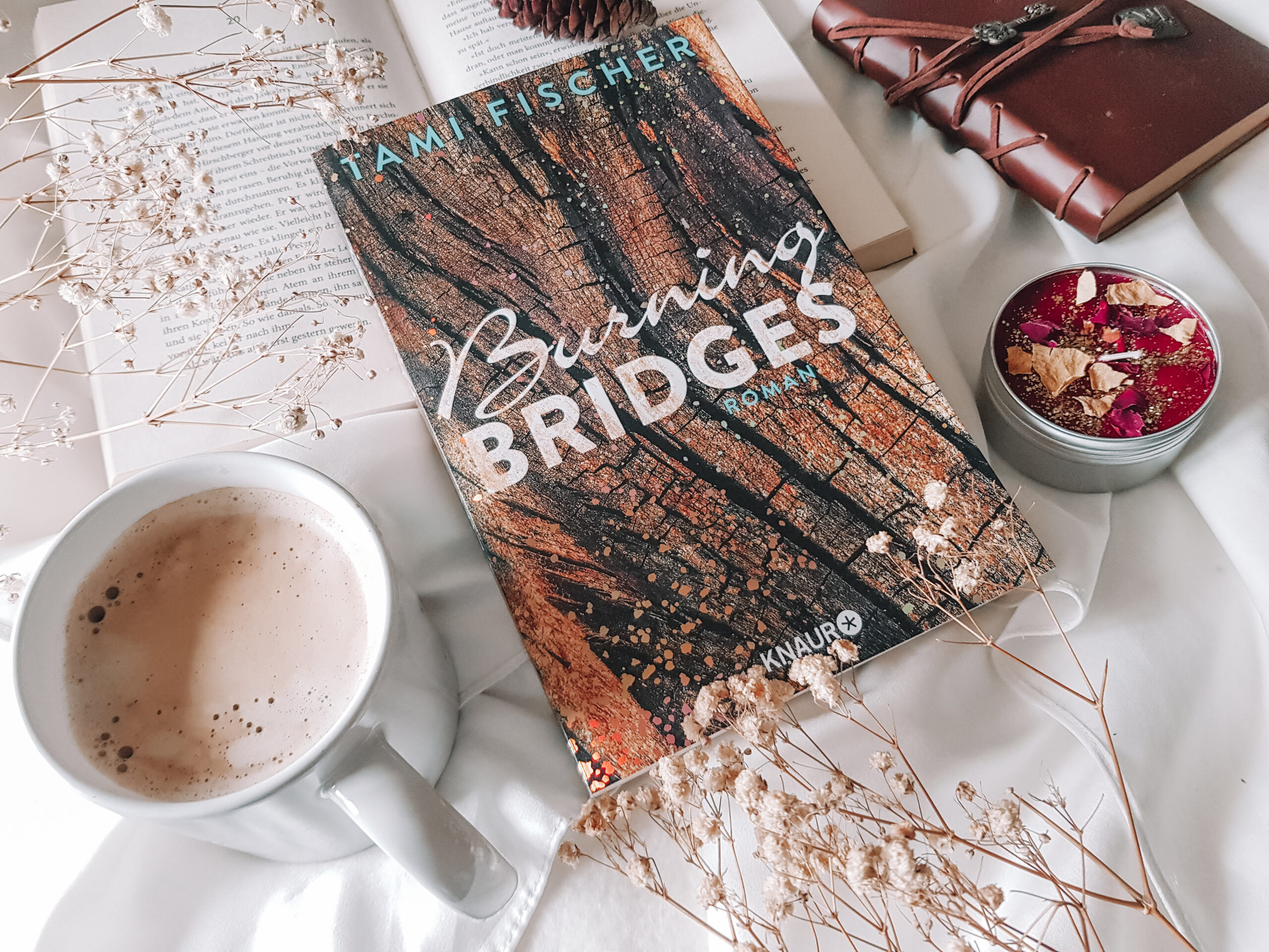 Tami Fischer - Burning Bridges (Fletcher University, Band 1 ...