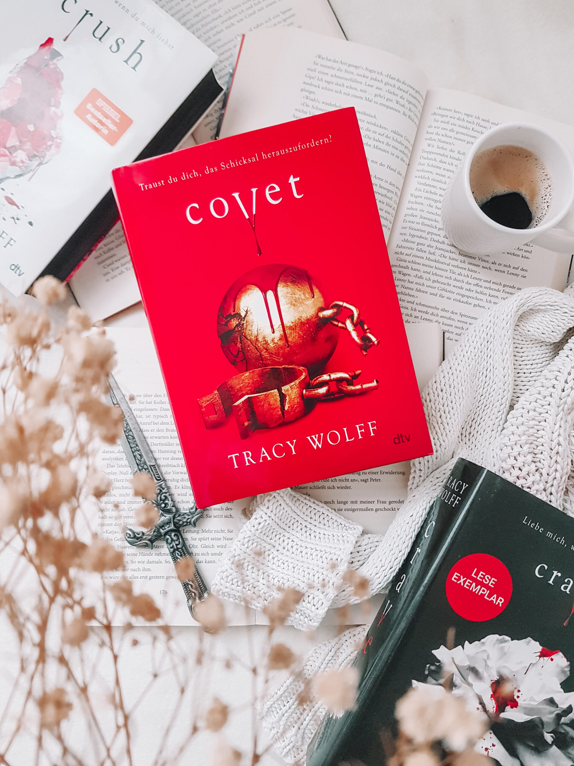 Tracy Wolff – Covet (Die Katmere Academy Chroniken, Band 3 ...