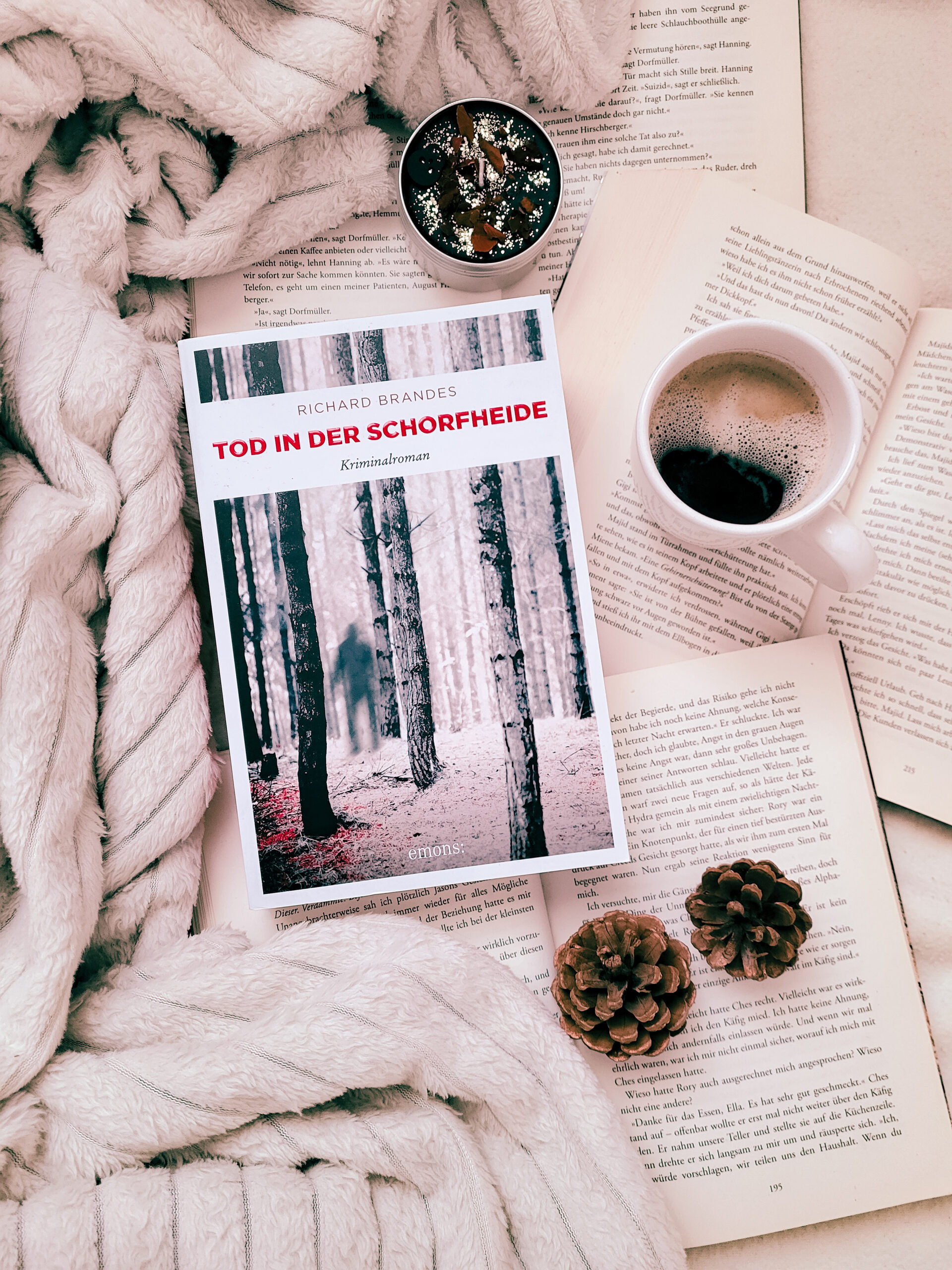 Richard Brandes - Tod in der Schorfheide (Carla Stach, Band 1 ...