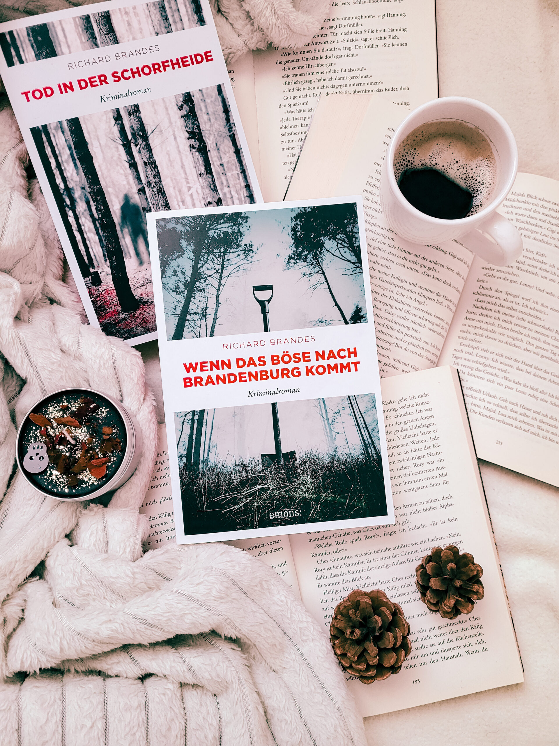 Richard Brandes – Wenn das Böse nach Brandenburg kommt (Carla Stach ...